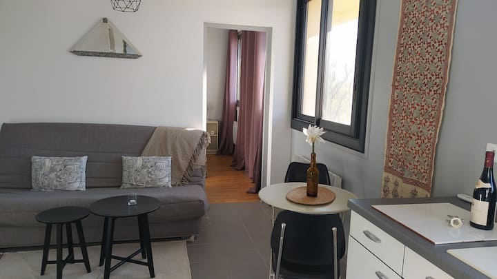 Appartement Lumineux Sur Les Barques - Narbonne