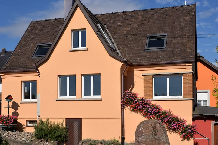 Appartement Juliette Au Clos Des Terres Brunes - Colmar