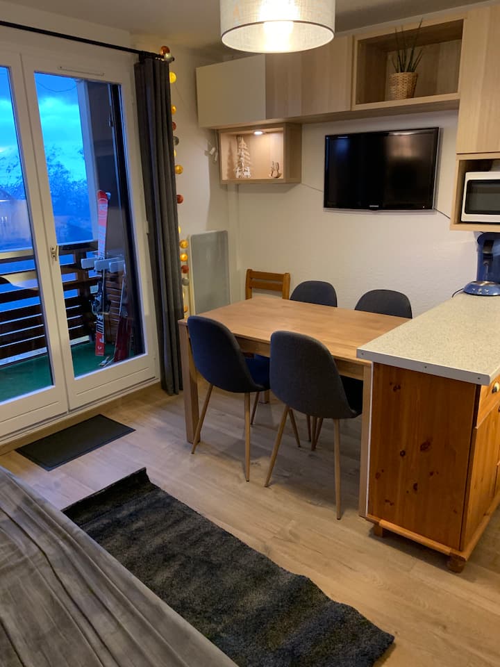 Balcon Sud, Vue Montagne – Retour Skis Selon Neige - L'Alpe d'Huez