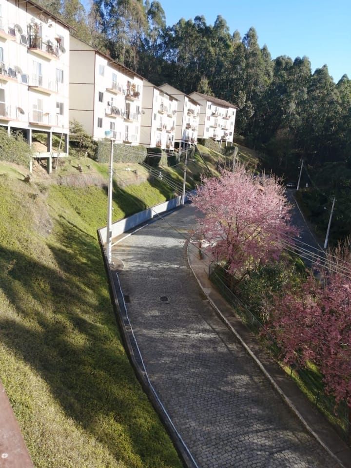 Nova Friburgo Cond Com Vista Maravilhosa Na Serra - Nova Friburgo