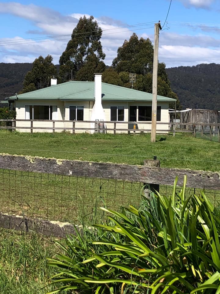 The Yellow House - Aberdeen
