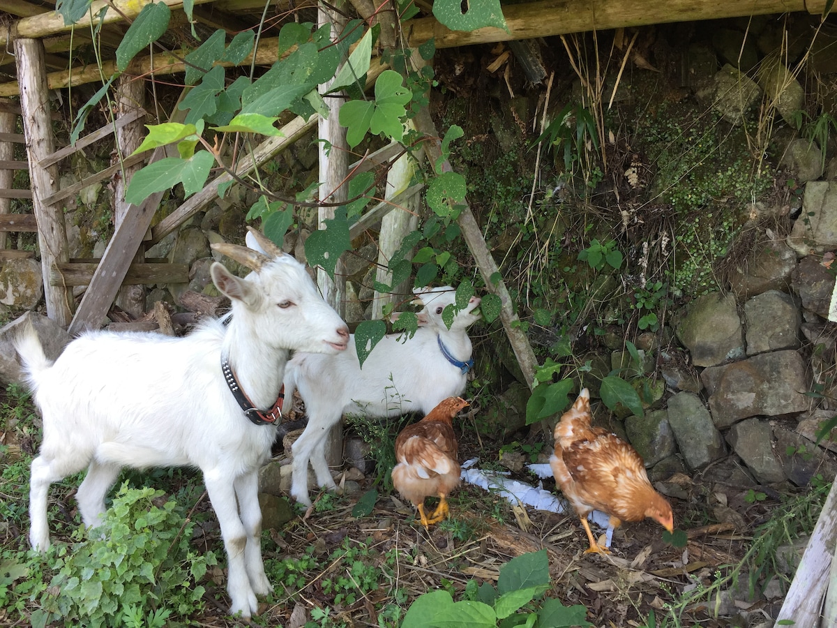 Top 10 Farm Stays In Japan | Trip101