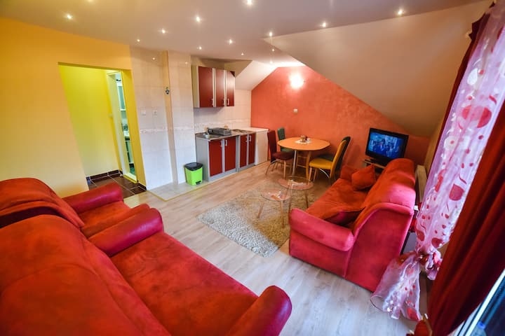 Two Bedroom Apartment With Terrace - Zlatibor