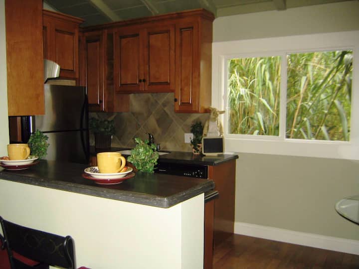 * 1br W/ High Ceilings And A/c In Mountain View * - Mountain View, CA