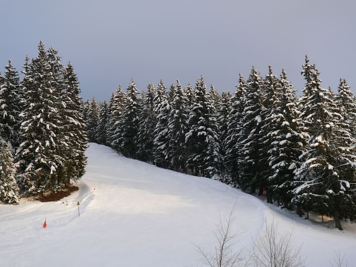Studio Cabine Lumineux Avec Balcon Et Vue Piste - Allemond