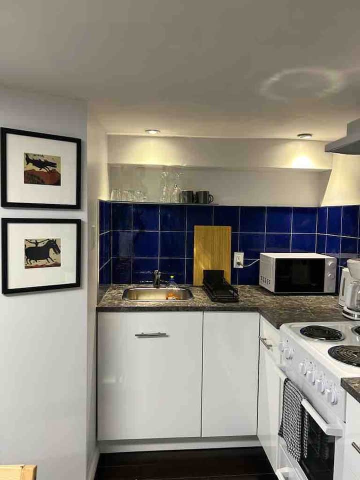 Annex Lower Level Studio/laundry/wifi/uoft - Toronto