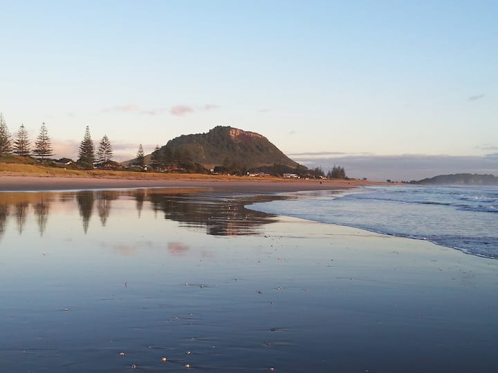 Seas The Day - Brand New Executive Guest Apartment - Mount Maunganui