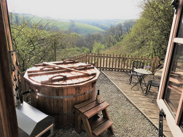 Gamma's Cosy Hut - Devon