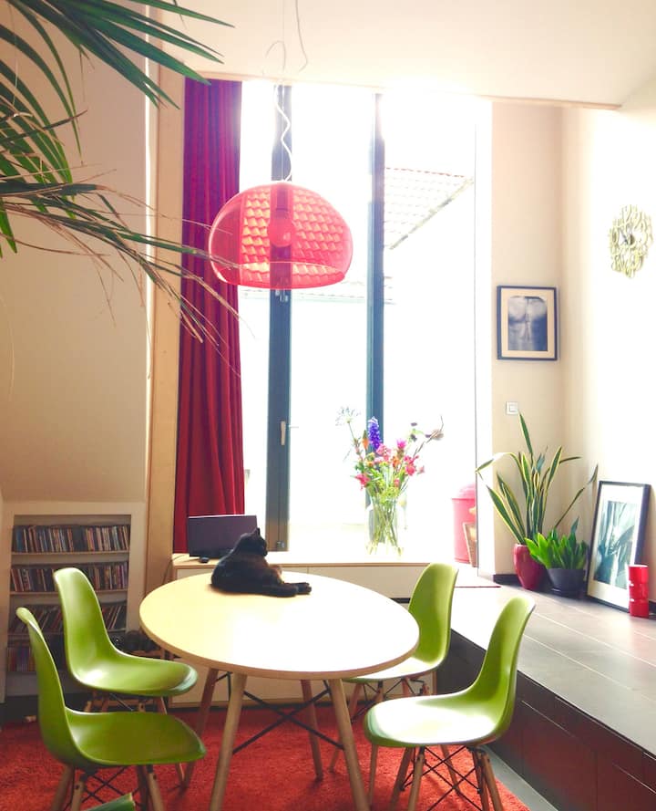 Newly Renovated Private Room Nearby City Center - Gante