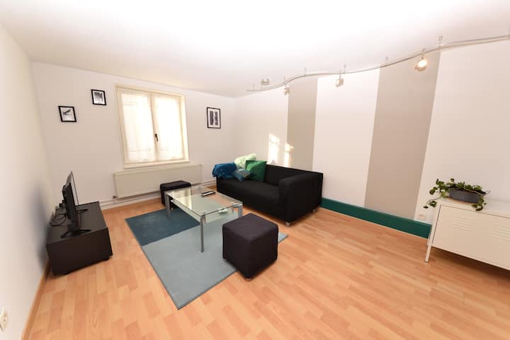 Le Faubourg : T2 48m2 Lumineux Et Proche De Tout ! - Vandœuvre-lès-Nancy