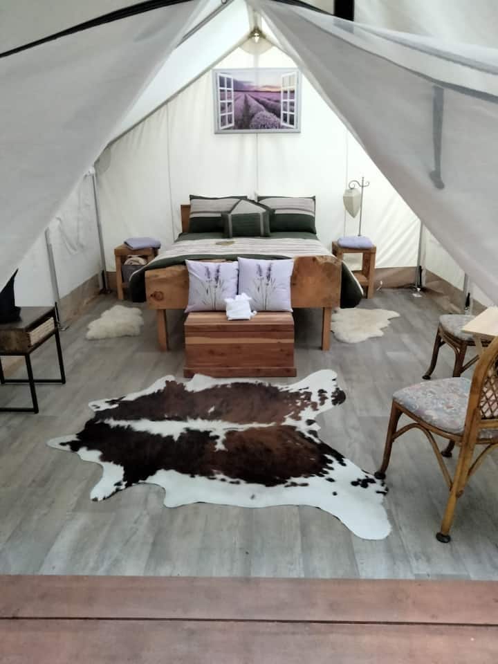 Lavender Glamping Tent &
  Heater And Fridge. - Sequim, WA