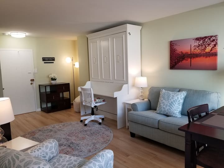 Fully Renovated Studio Near The Heart Of Dc - 阿靈頓