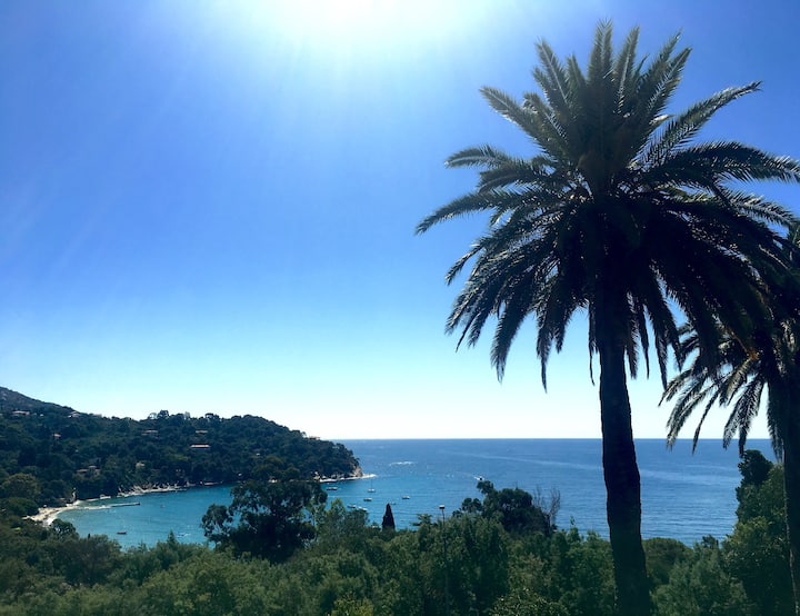 Beautiful Apartment In The Gulf De St Tropez - Rayol-Canadel-sur-Mer