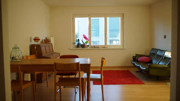 Bright, Quiet And Central - Zurich, Switzerland