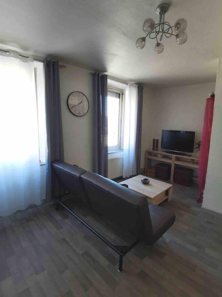 Superbe Appartement Avec Parking Gratuit Sur Place - Lavelanet
