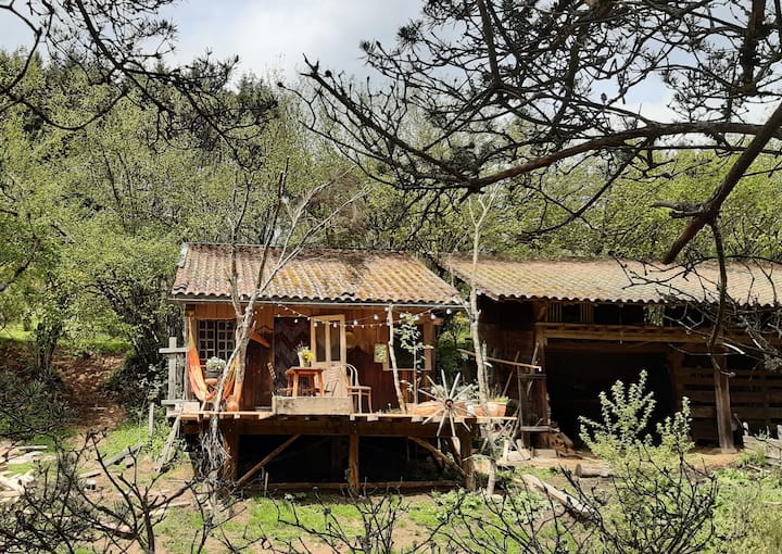 Cabane à La Bougie - Beaujolais