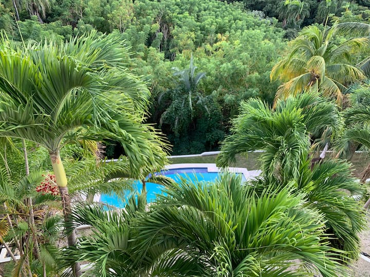 Villa Bohio - Rincón