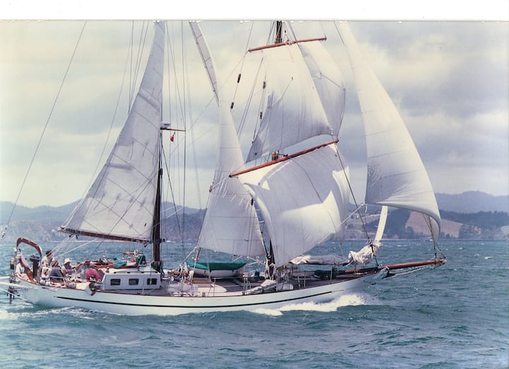 Sailing Adventure On A Traditional Square Rigger - Bay Of Islands