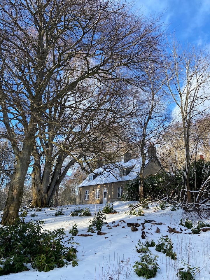 Secluded Cottage On A Country Estate - Moray