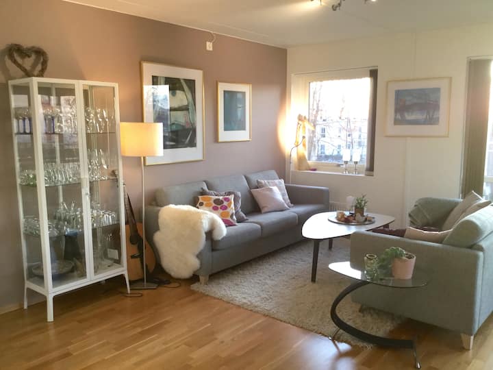 ÅPen, Lys Og Usjenert Leilighet! - Oslo