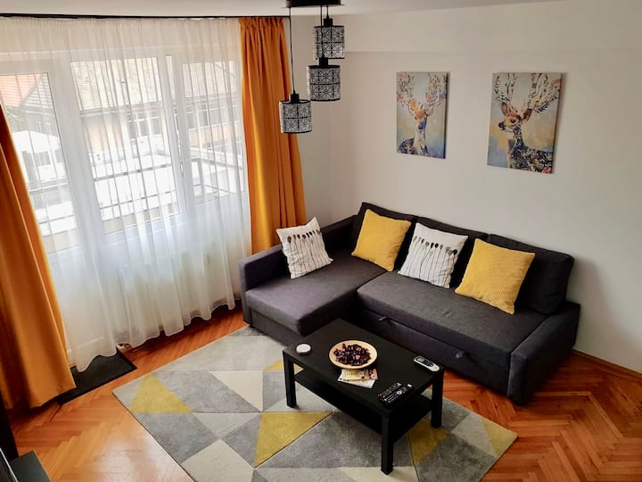 Homely Comfort In The Heart Of Timisoara - Timișoara