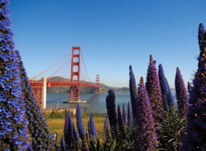 1bdm-sleeps4 San Francisco Wmresort - Sausalito, CA