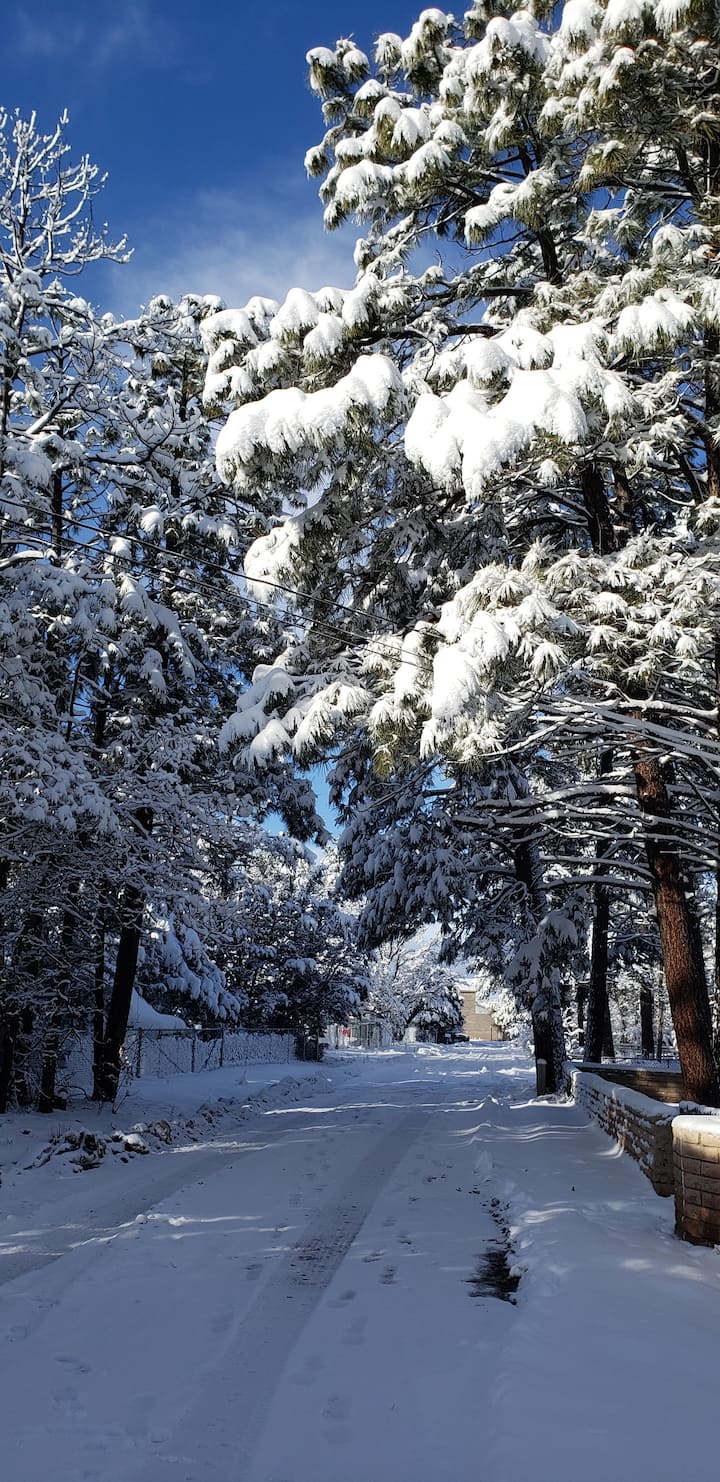 Peaceful Pines - Pinetop-Lakeside, AZ