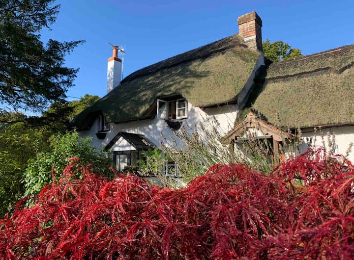Holiday Cottage Lymington, New Forest, Hampshire - Lymington