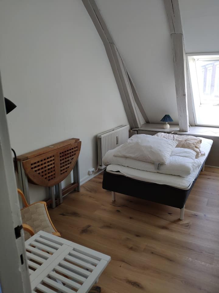 Byens Tage Maler Billedet - Helt Centralt I Odense - Odense