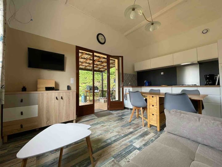 Petite Maison Sanguinet - Biscarrosse