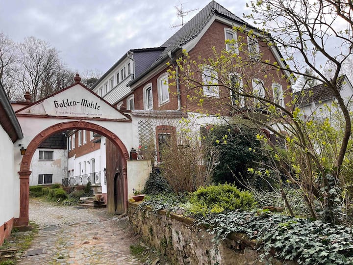 Bohlen-mühle Bei Darmstadt - 17 Betten - Darmstadt