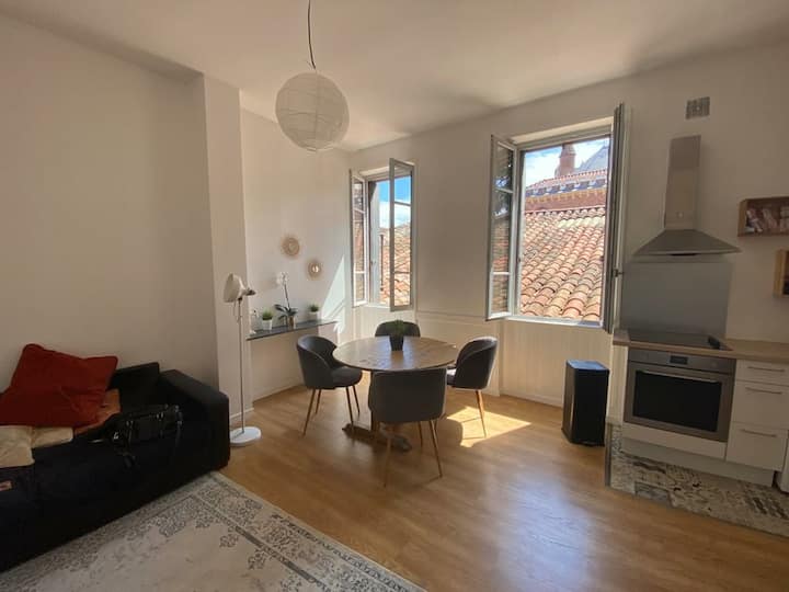 Toulouse, Appartement Climatisé, Cosy Et Lumineux - Toulouse