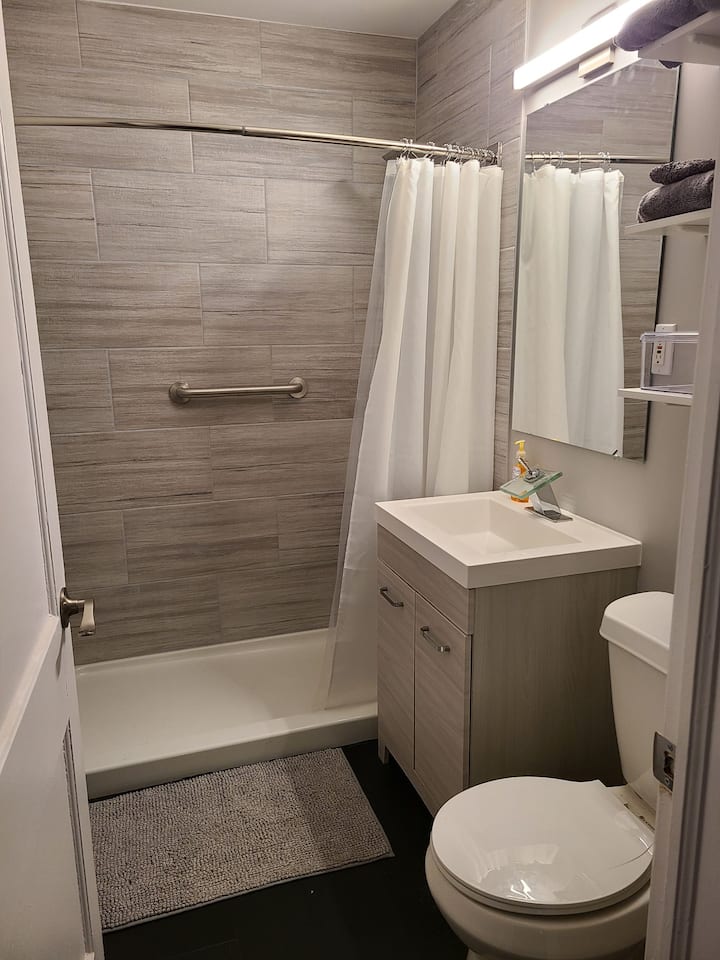 Newly Renovated, Chic Location - Ferndale, MI