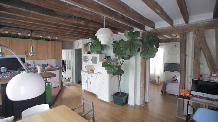 Charming Flat In Paris. Near All Commodities - París