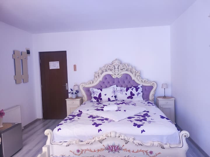 Pensiunea Baron - Sighișoara