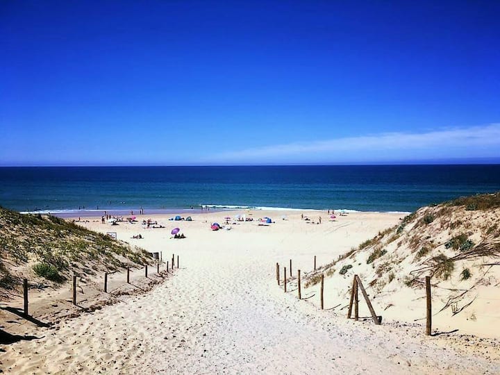 Mobilhome (2023) Landes Océan - Landes