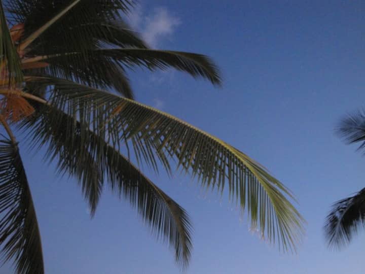 Tropical Relaxing Modern - Kihei, HI