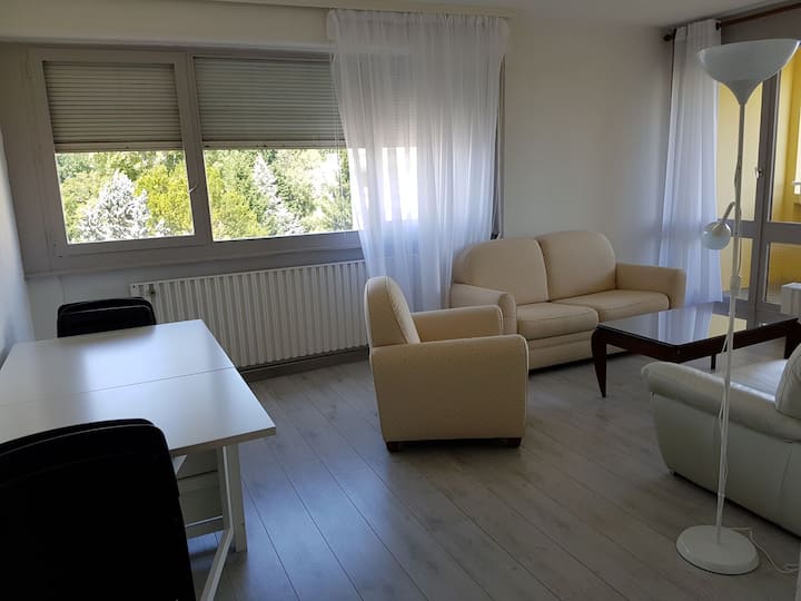 Close To Geneva, Beautiful Views - Ferney-Voltaire