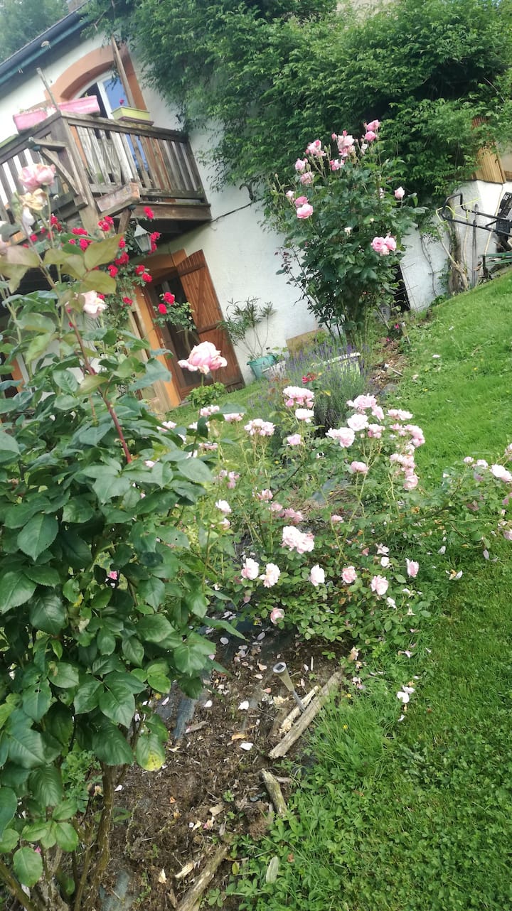Appartement Calme Dans Un Ecrin De Fleurs - Decazeville