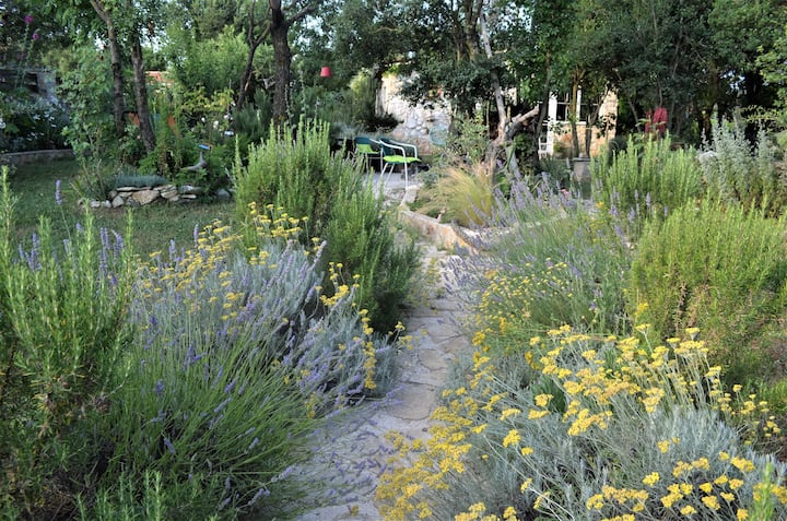 Stone Corner - Rovinj