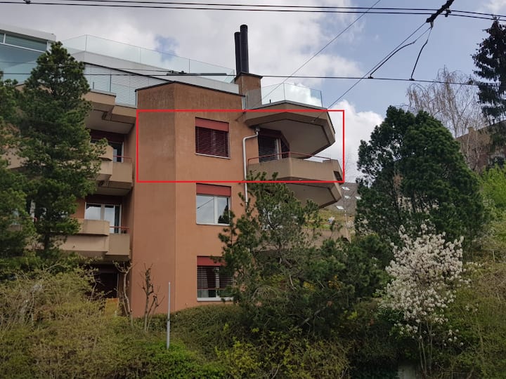2 Bedroom Zurich Flat With Lovely City View - Kanton Zürich