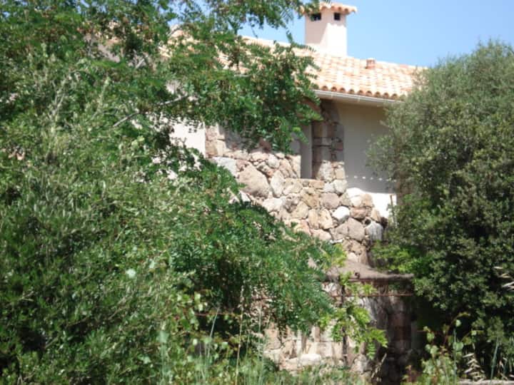 Les Chambres De L'hôte Antique - Porto-Vecchio