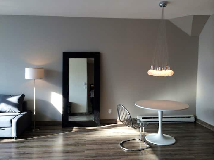 Wow Huge&modern For 5 In Downtown Montreal Village - Montreal
