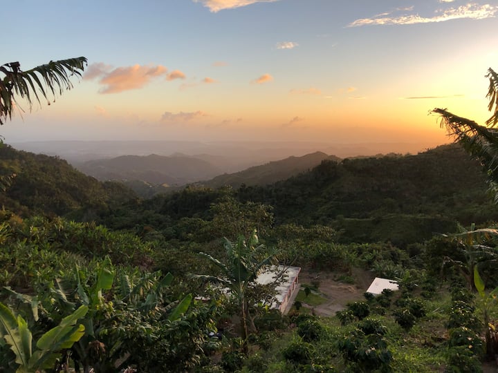 Coffee Estate Retreat In The Mountains! - Puerto Rico