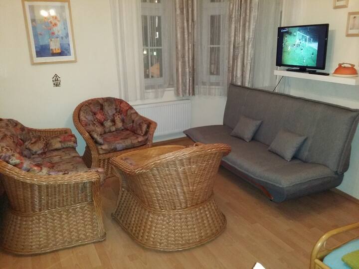 Holiday Apartments - Apartment 9 - Karlovy Vary