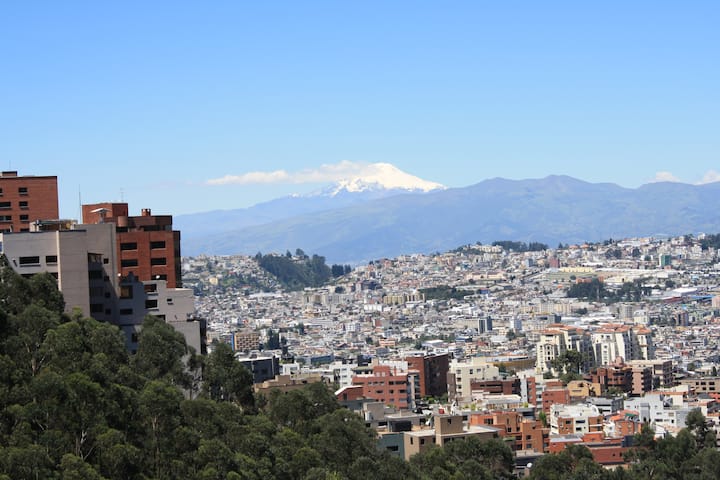 300 M2 Apartment At The Best Location In Quito - Quito
