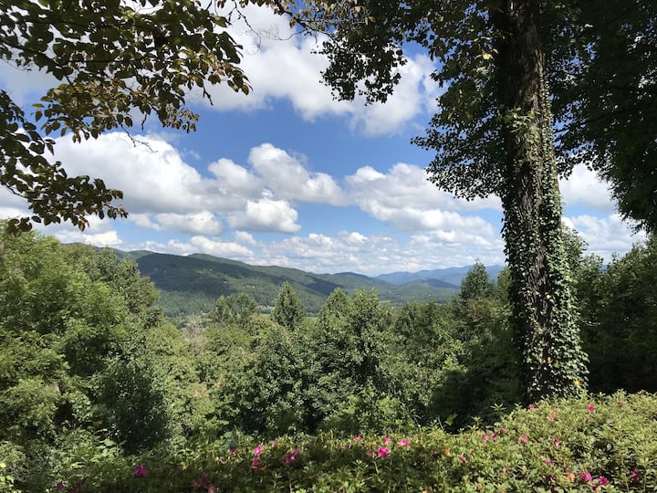 Clayton, Ga (Ne Georgia) Cozy Mountain Cabin With View-hillcrest Lodge - Dillard, GA
