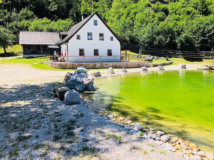 Feriengut Daxenwinkel - Ebensee