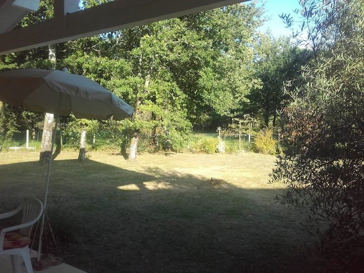 Jolie Maison Familiale Donnant Sur La Forêt - Biscarrosse