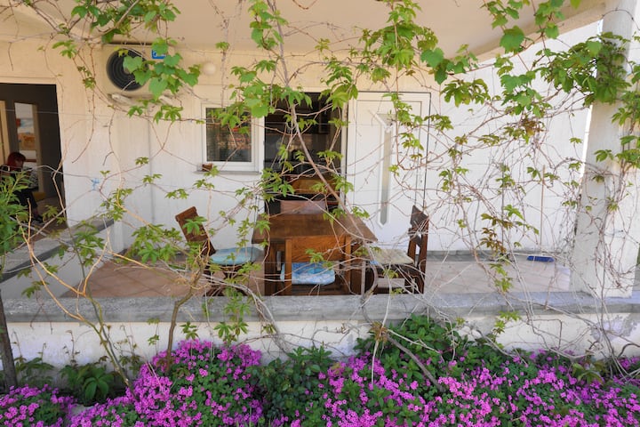 Sandy Beach ŽDrijac 100m Ii - Nin